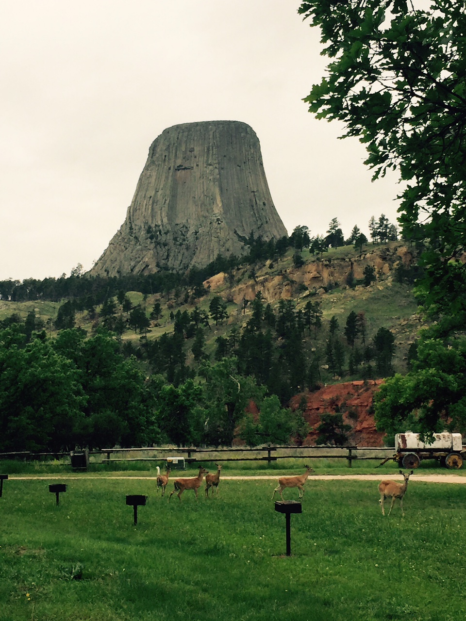 KOA Campground Review: Devil’s Tower, Wyoming - Savage Camper