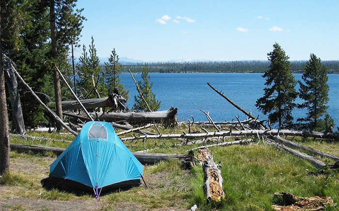 The Best Campsites in Yellowstone Park - Savage Camper